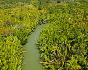 Loboc River Resort Review: 15 Awesome Reasons Why Loboc River Resort is ...
