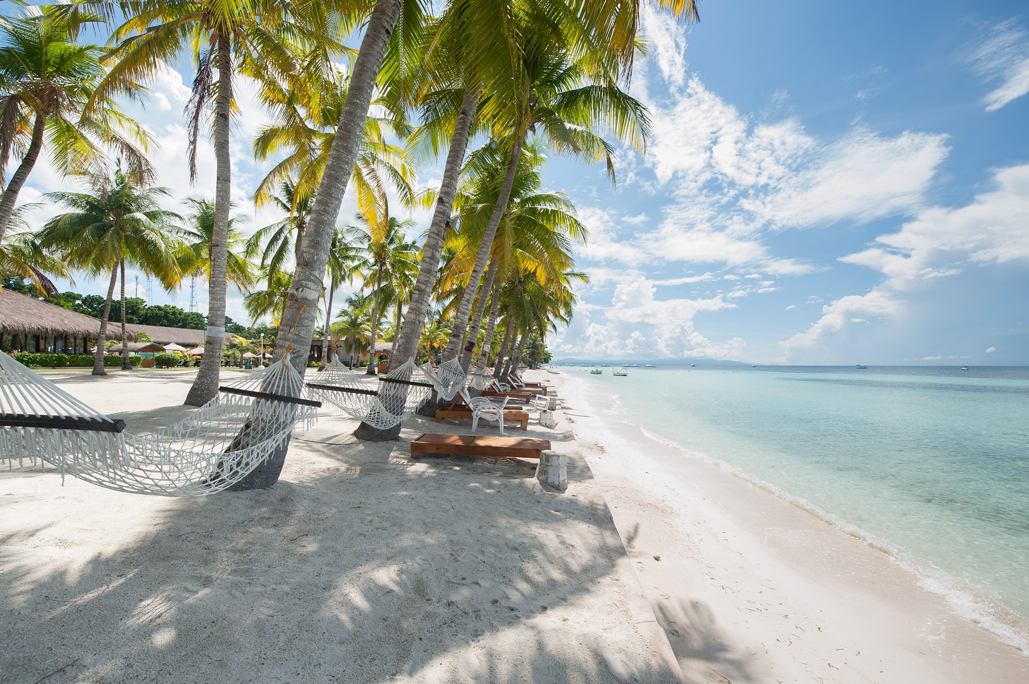 Our TOP 10 Picks for the Best Luxury Resorts in Bohol, Philippines ...